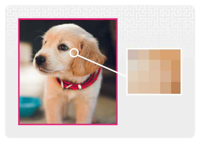 Isaac Computer Science