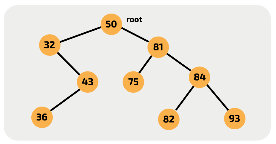 Isaac Computer Science